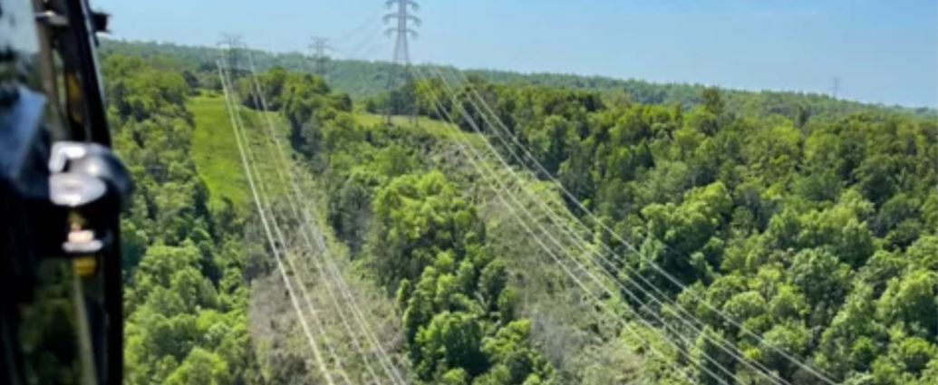 Hitachi Vegetation Manager (HVM) é lançado no Brasil – Jornal Visão de ...